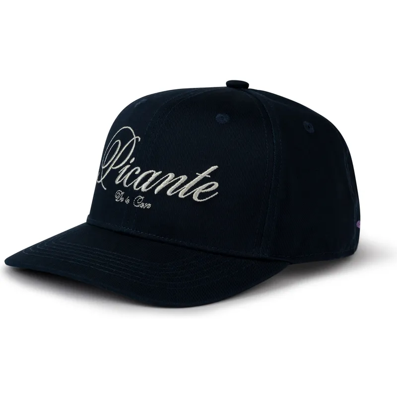 Pica Pica Curved Brim Picante De La Casa Navy Blue Snapback Cap ...