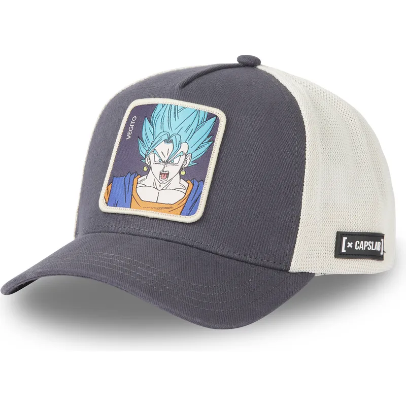 Capslab Vegito Super Saiyan Blue FUS Dragon Ball Black and White ...